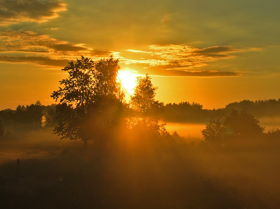 Ochtend - Heidehuisje